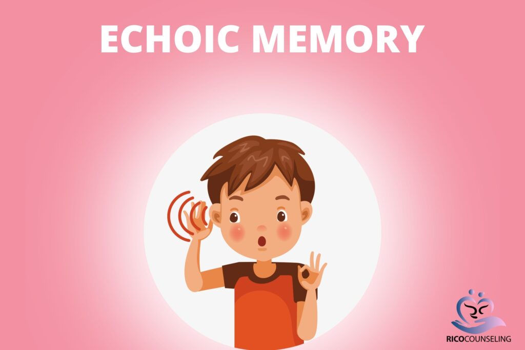 Echoic Memory Exposed: Shocking Facts & Must-Know Insights